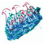 Free Meditation Classes in San Diego